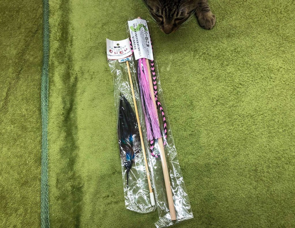 猫オモチャ、ありがとうございました！ – 保護猫カフェ Meooow!